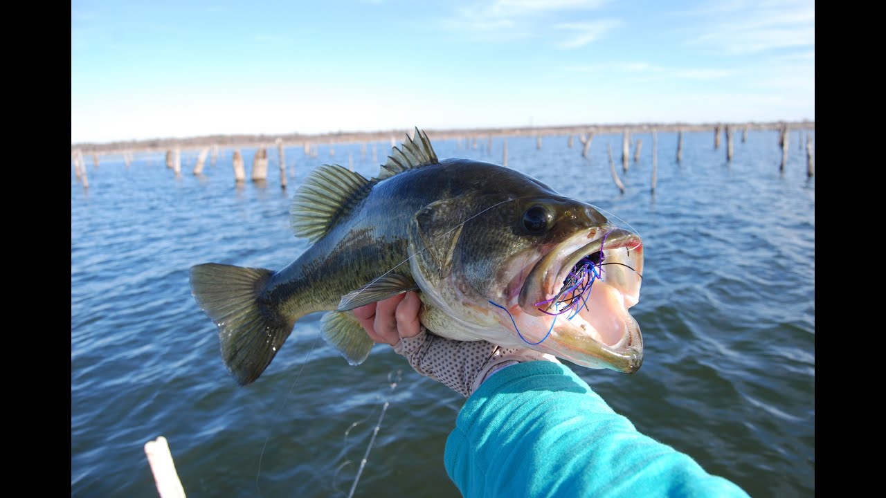 AC Tackle Shack - Home Page – actackleshack